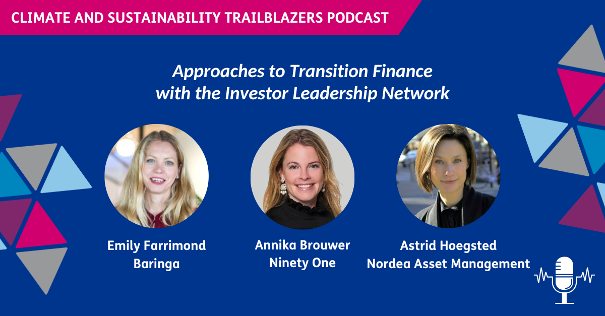 Approaches to transition finance with the Investor Leadership Network ...