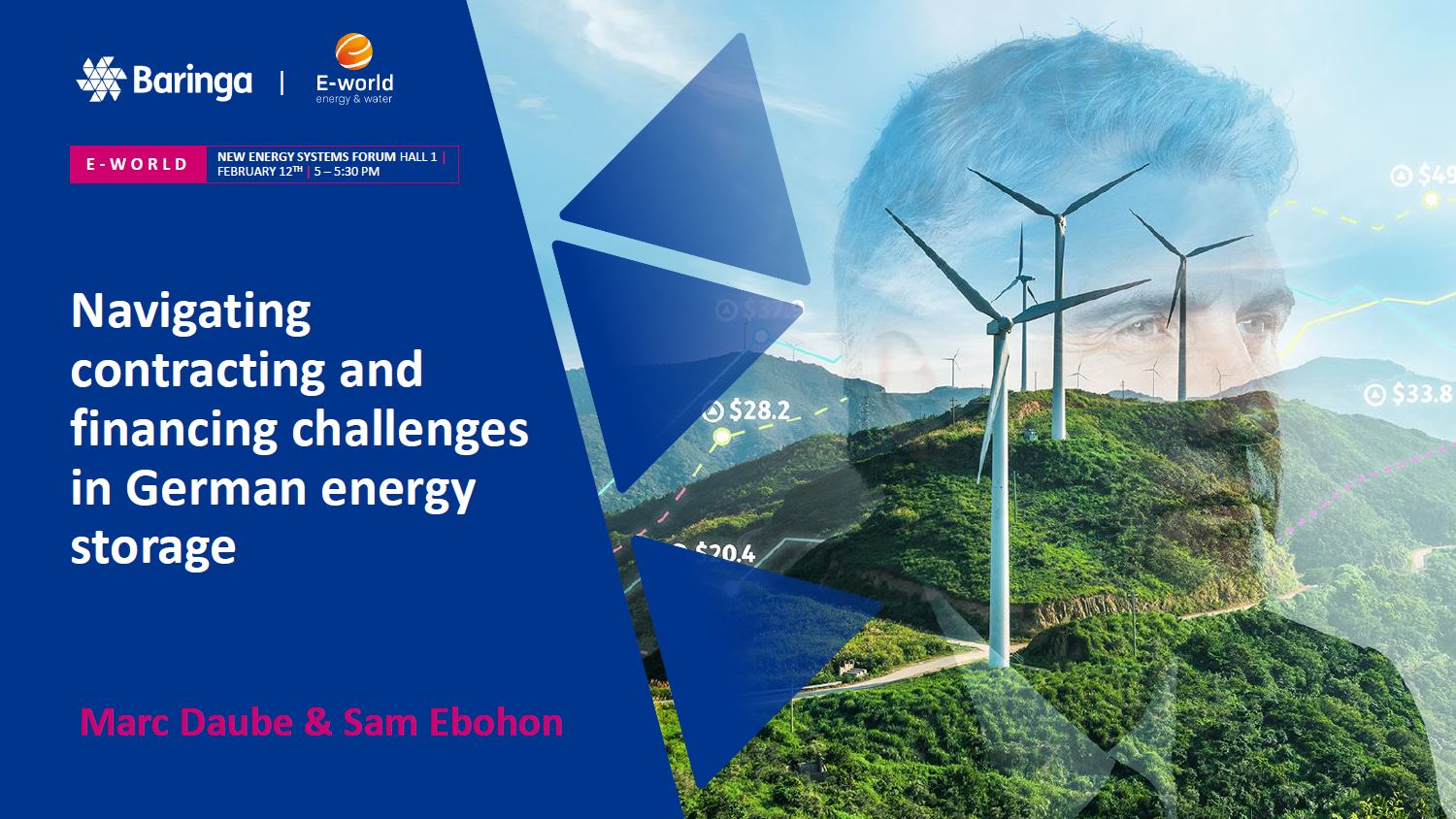 Contracting and financing in German energy storage | Baringa